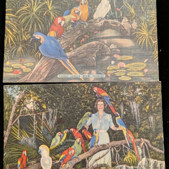 Parrot Jungle | Other | Vintage Parrot Jungle Postcards | Poshmark